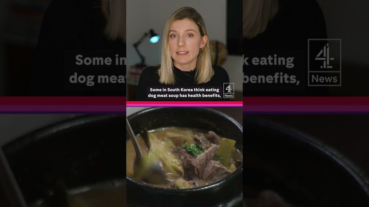 Will South Korea ban eating dog meat? - The Global Herald