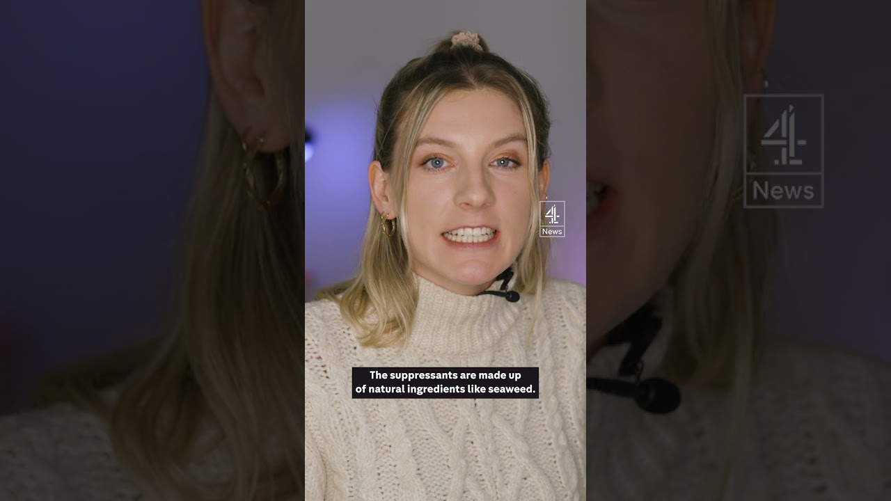 Could reducing methane in cow farts save the planet? - The Global Herald