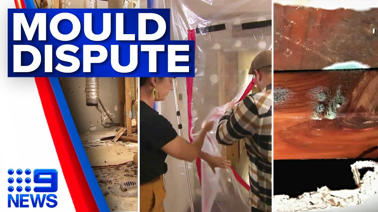 Family flees into emergency accommodation after mould-infestation ...