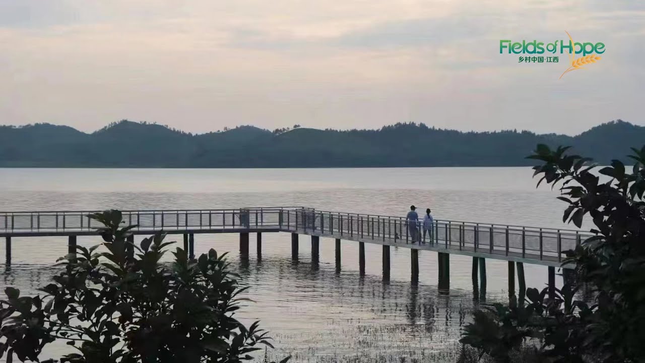 Live: Explore the balanced ecosystem of China's largest freshwater lake ...