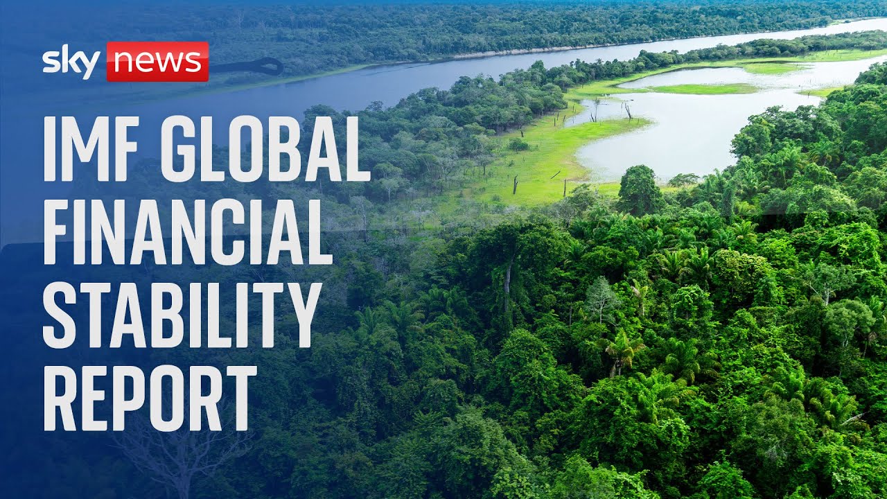 Watch live: IMF news conference on the Global Financial Stability ...