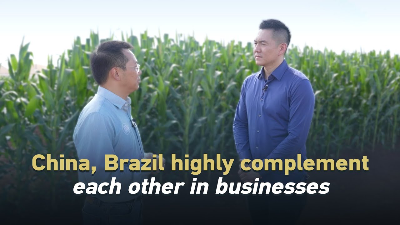 China, Brazil highly complement each other in businesses - The Global ...
