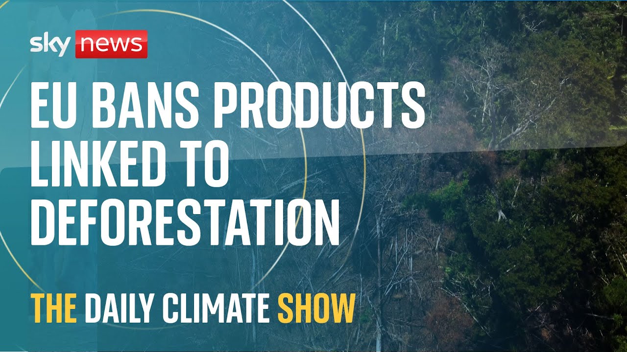Sustainability: European Union bans imports of products linked to ...