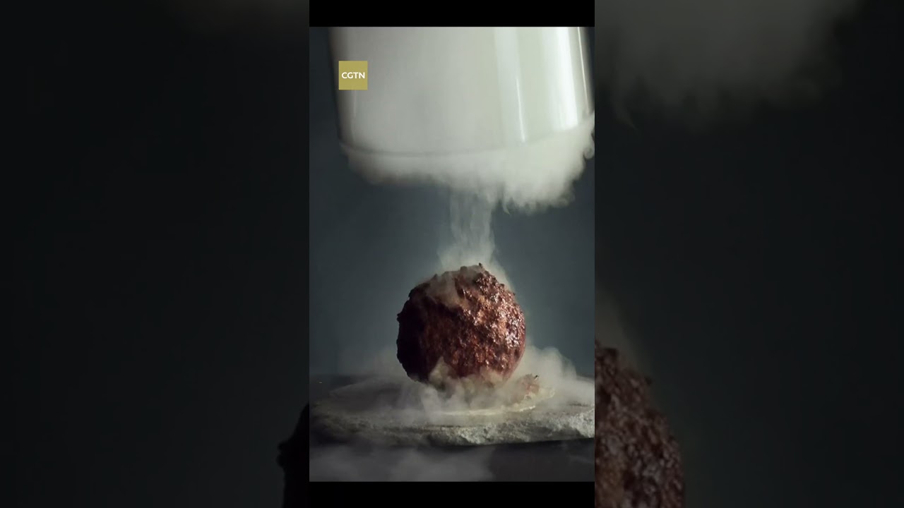 Australian company creates world's first meatball using woolly mammoth ...
