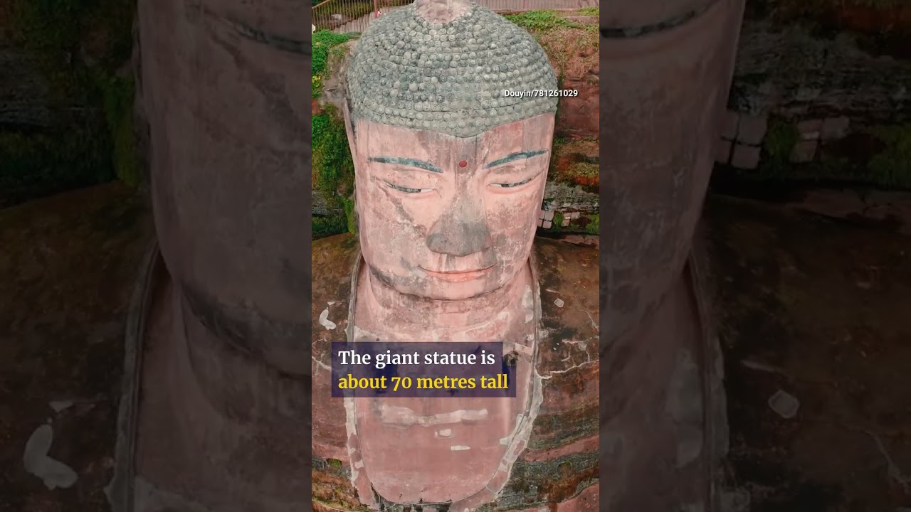 Woman meditates on top of Leshan Giant Buddha in China #shorts - The ...