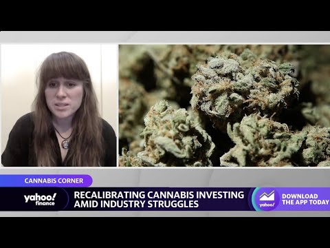Cannabis: Breaking down struggle to legalize in the U.S. - The Global ...