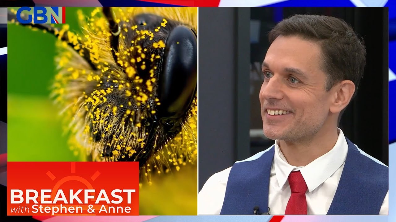 Temperatures to rise from tomorrow but it will bring a POLLEN BOMB with ...