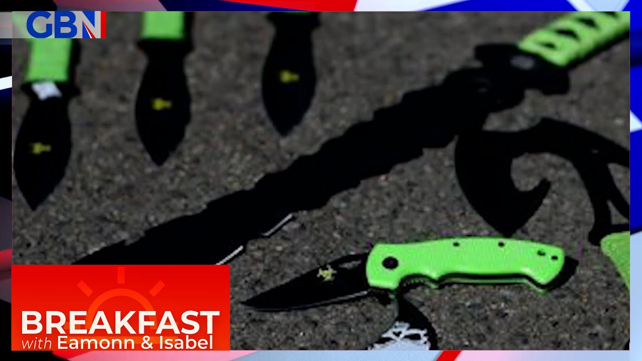 'I can't see any reason why [machetes and zombie knives] need to be ...