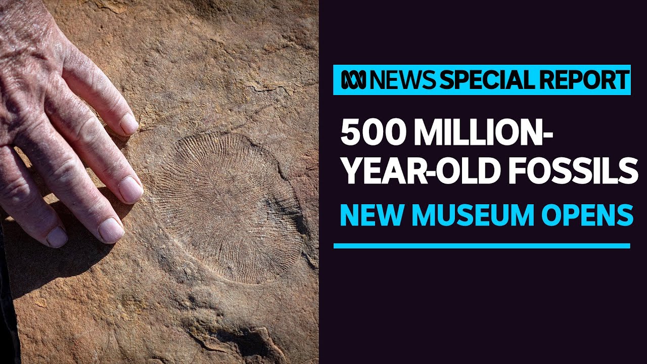 Cattle farmer stumbles across 'alien' fossil find, half-a-billion-years ...