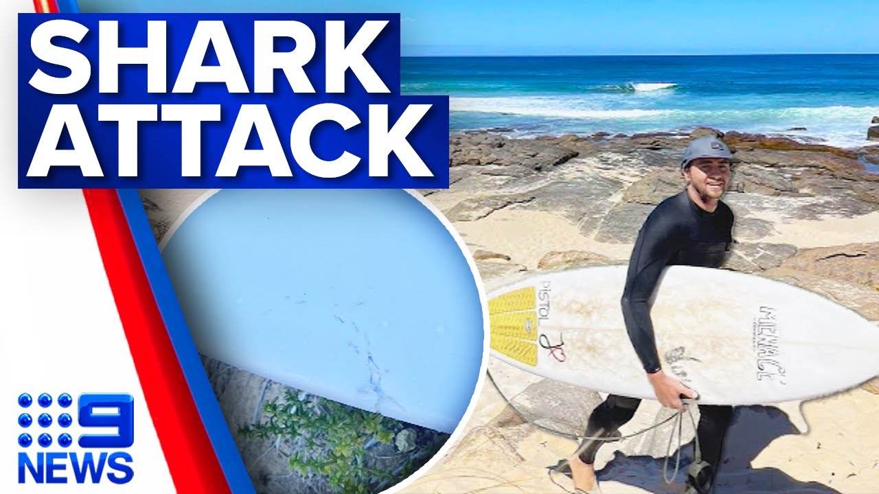 Surfer bitten by shark in Perth is awaiting surgery | 9 News Australia ...