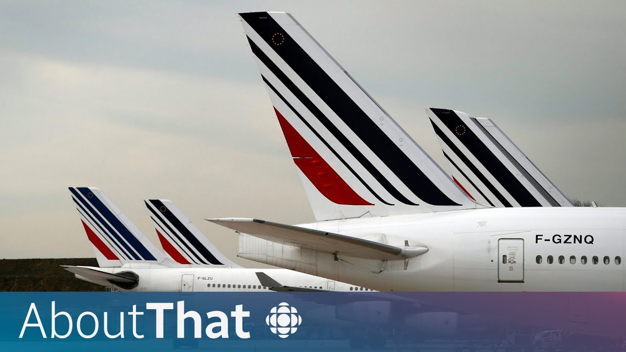 What you need to know about France’s short-haul flight ban | About That - The Global Herald