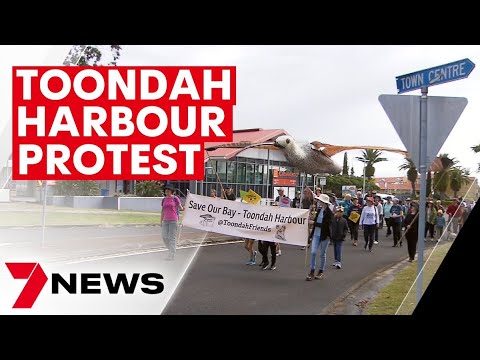Thousands have taken to the streets to protest Toondah Harbour | 7NEWS ...