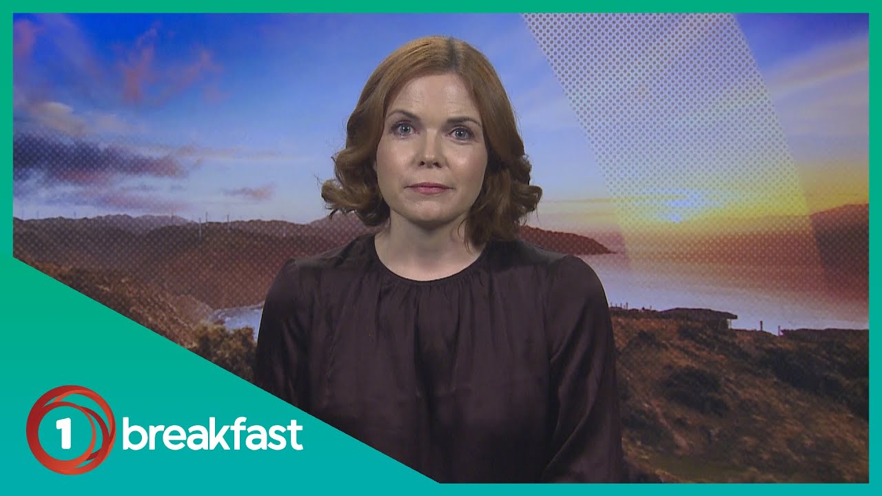 Meka Whaitiri’s defection ‘like a bit of political theatre’ - Jessica ...