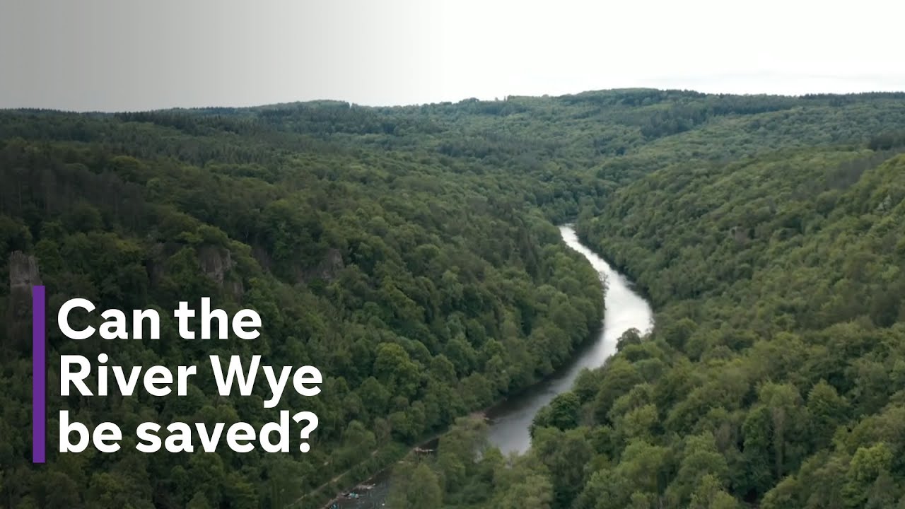 Living by a ‘dying river’ - how pollution has put the Wye into decline ...