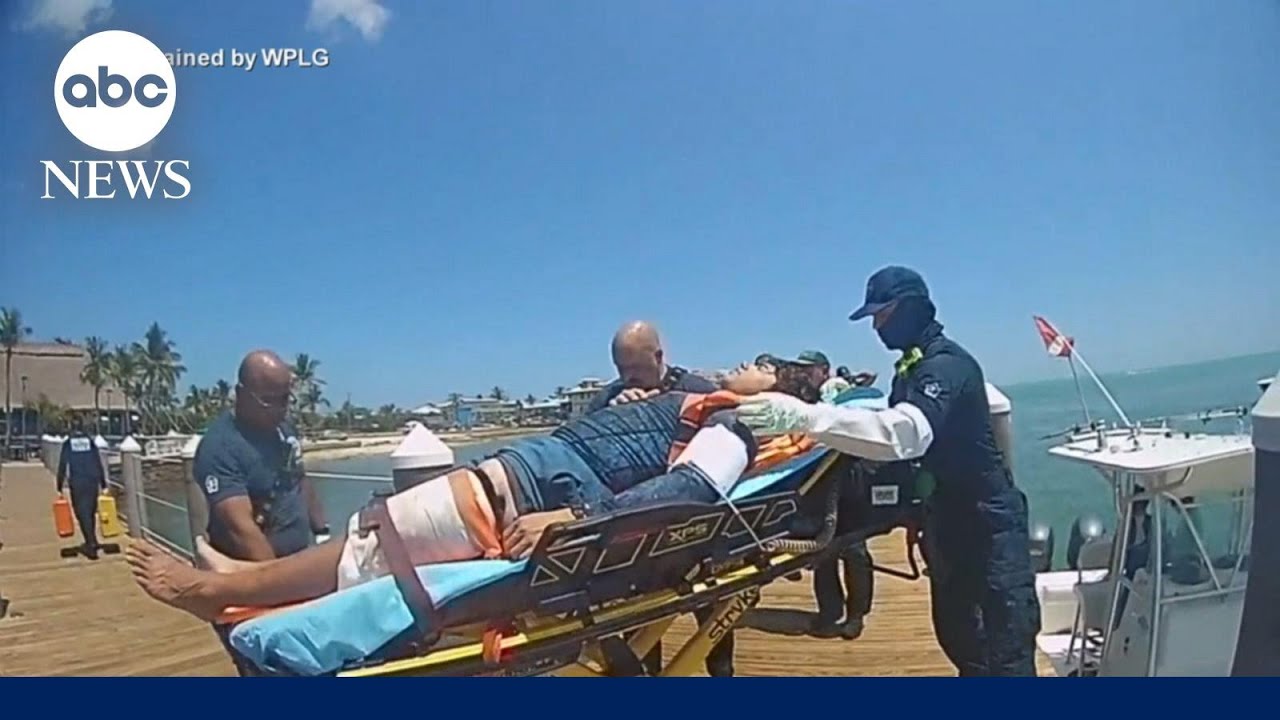 911 call released as shark attack survivor speaks out l GMA - The ...