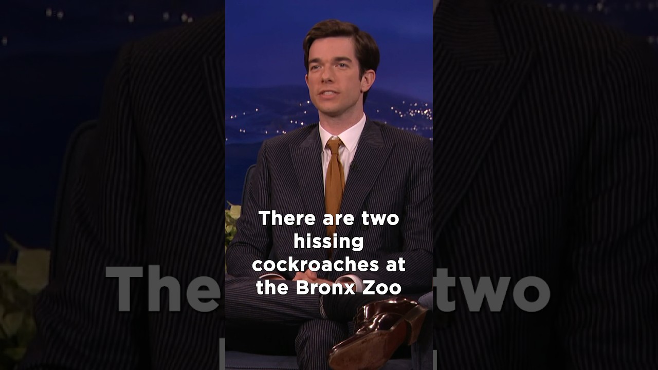 The Bronx Zoo named two cockroaches after Nick Kroll and John Mulaney ...