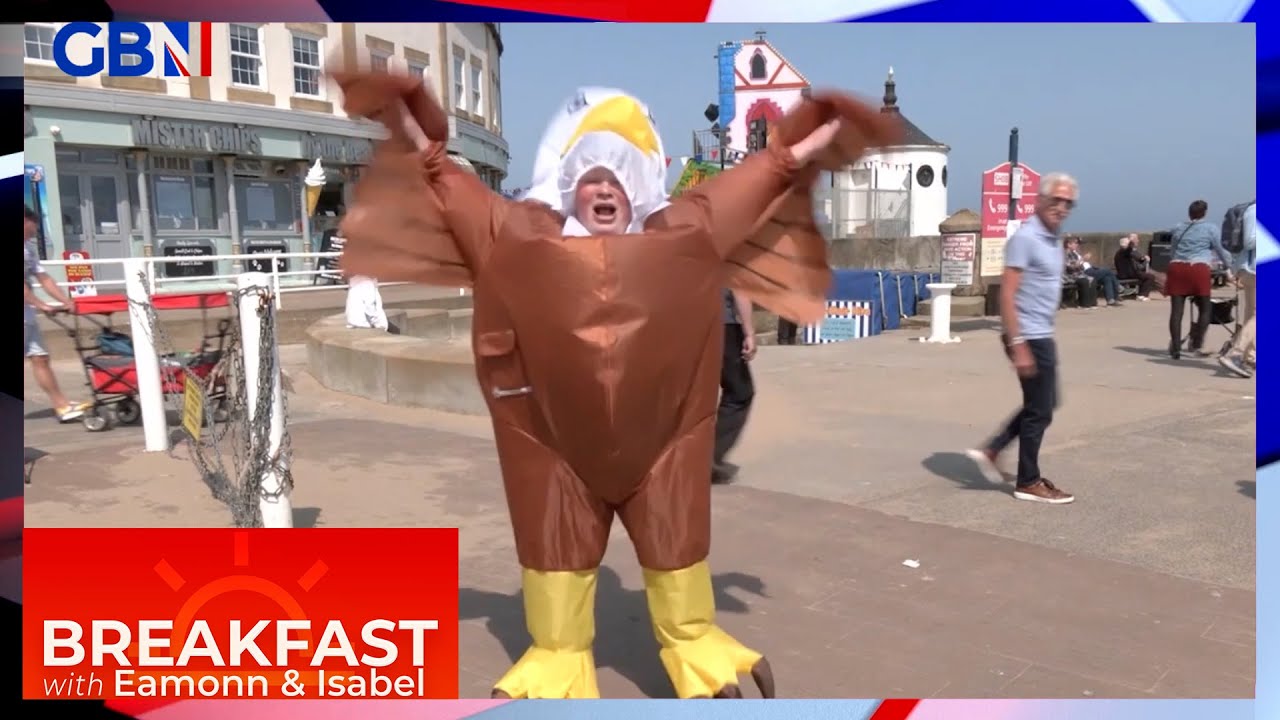 Whitby fish and chip shop employs Mr Eagle Man to scare off scavenging ...