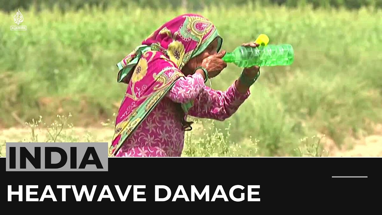 India heat wave: Crops destroyed amid soaring temperatures - The Global ...