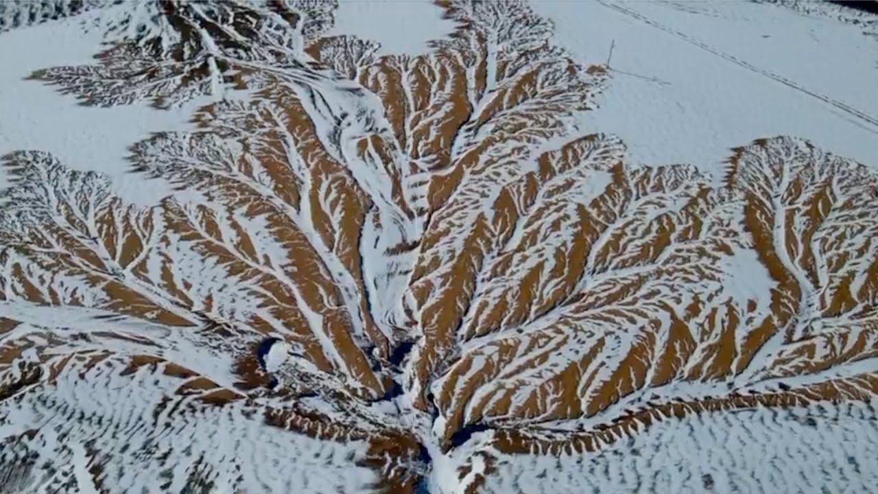 Tree-like shapes appear after snow in Tibet's Ngari - The Global Herald