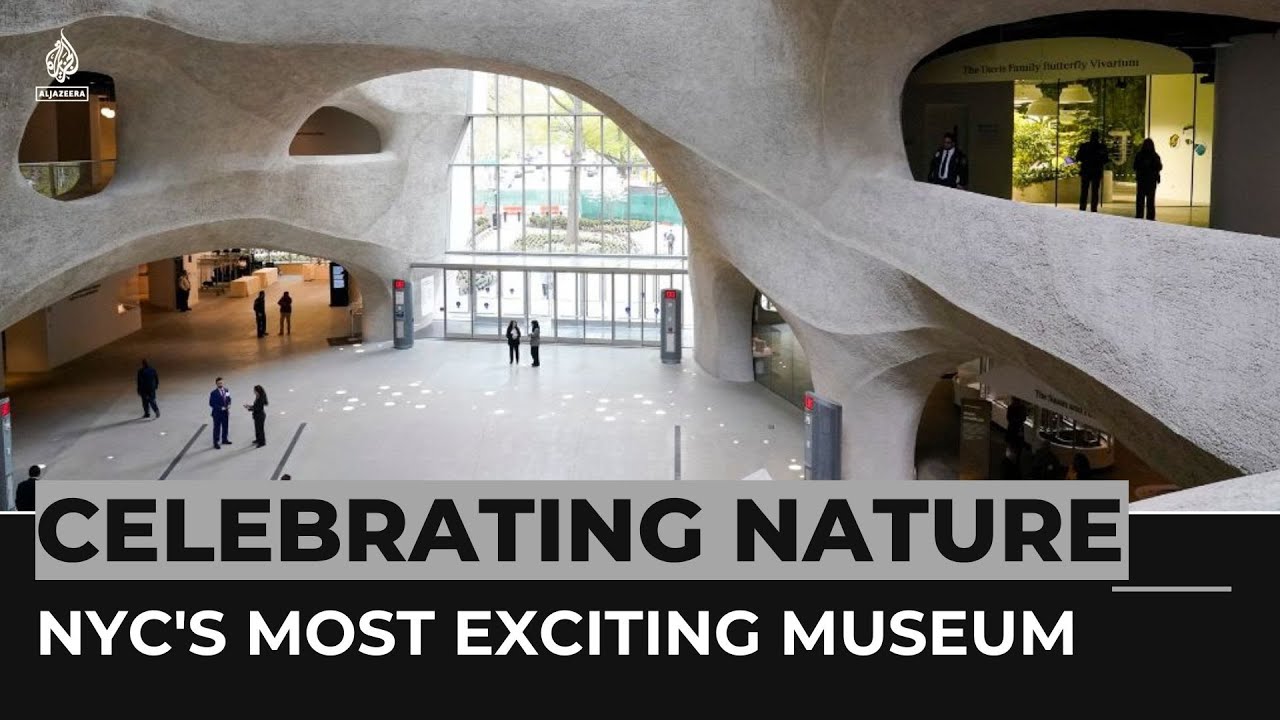 Celebrating nature: Immersive exhibit highlights planet's biodiversity ...