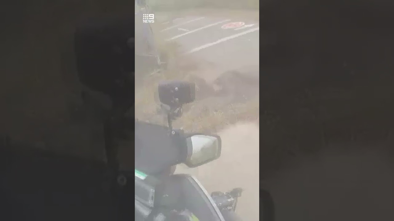 E-scooter rider arrested after high-speed chase - The Global Herald