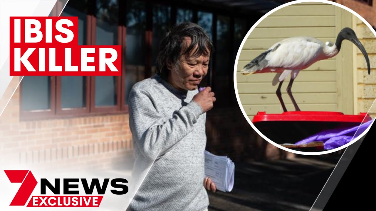 IBIS killer Tom Quach appears in Waverley Local Court | 7NEWS - The ...