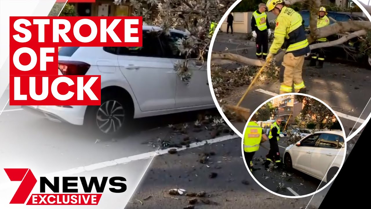 Two teenage girls have lucky escape as tree topples at Bondi | 7NEWS ...