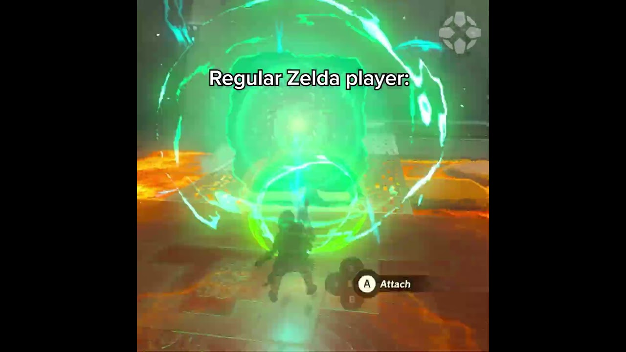 regular vs big brain zelda players #totk #tearsofthekingdom #nintendo # ...