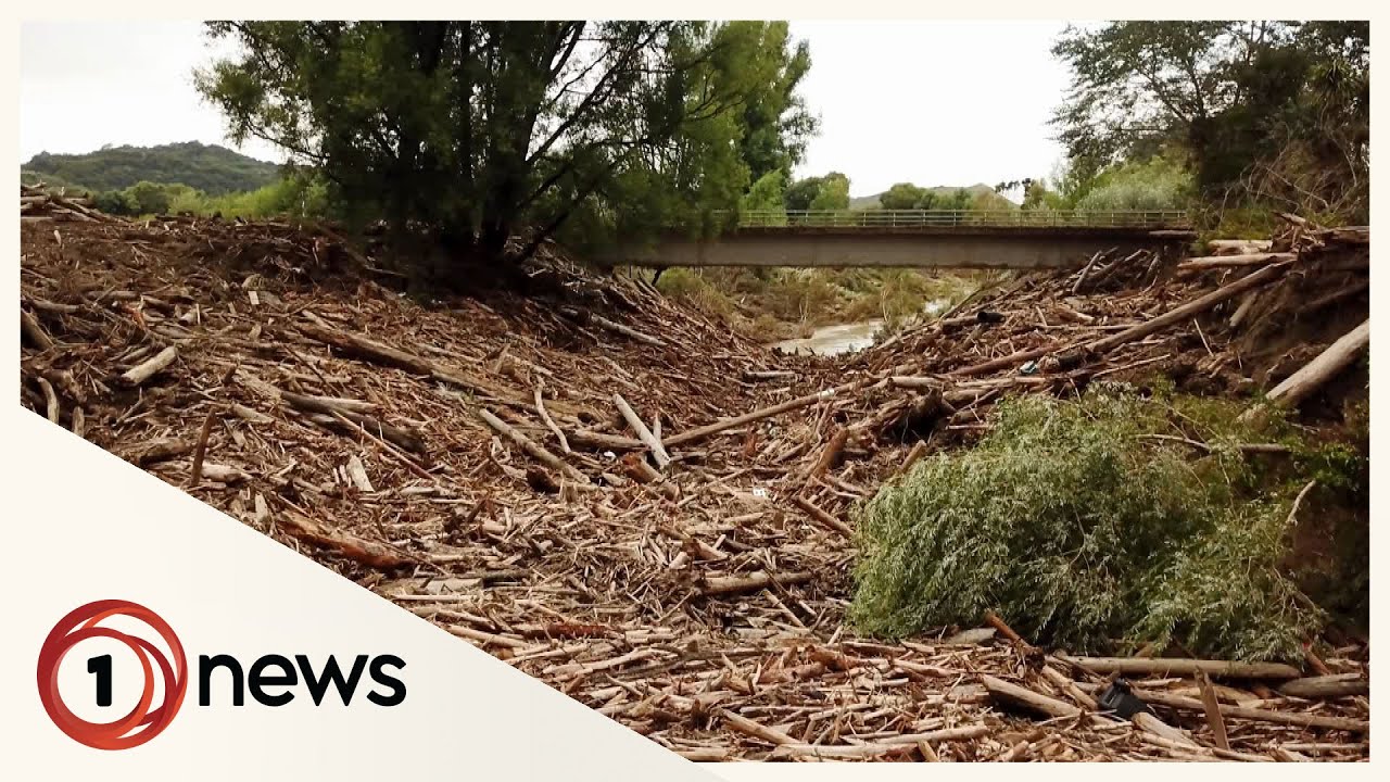 Warning forestry debris ‘an environmental disaster unfolding in plain ...
