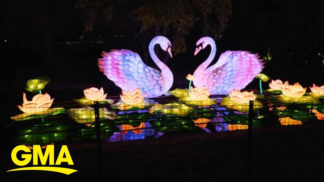 Tianyu Arts & Culture shines bright with their Chinese lantern ...