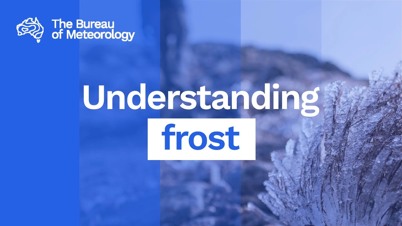 Australia Weather: Understanding Frost - The Global Herald