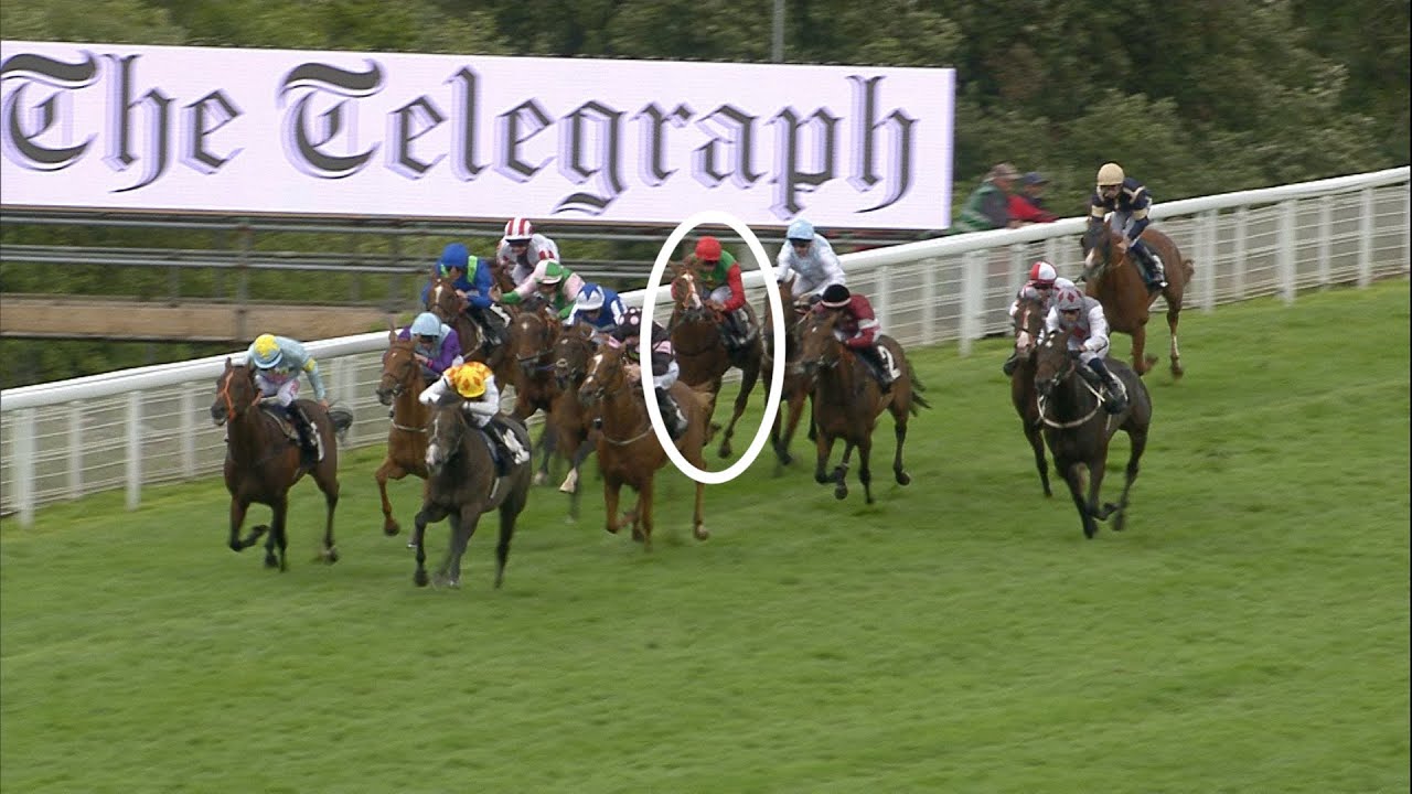 Incredible! A Group 1 winner in a handicap! A look back at Billesdon ...