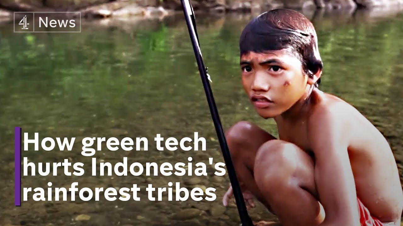 Uncontacted rainforest tribe endangered by race for green tech - The ...