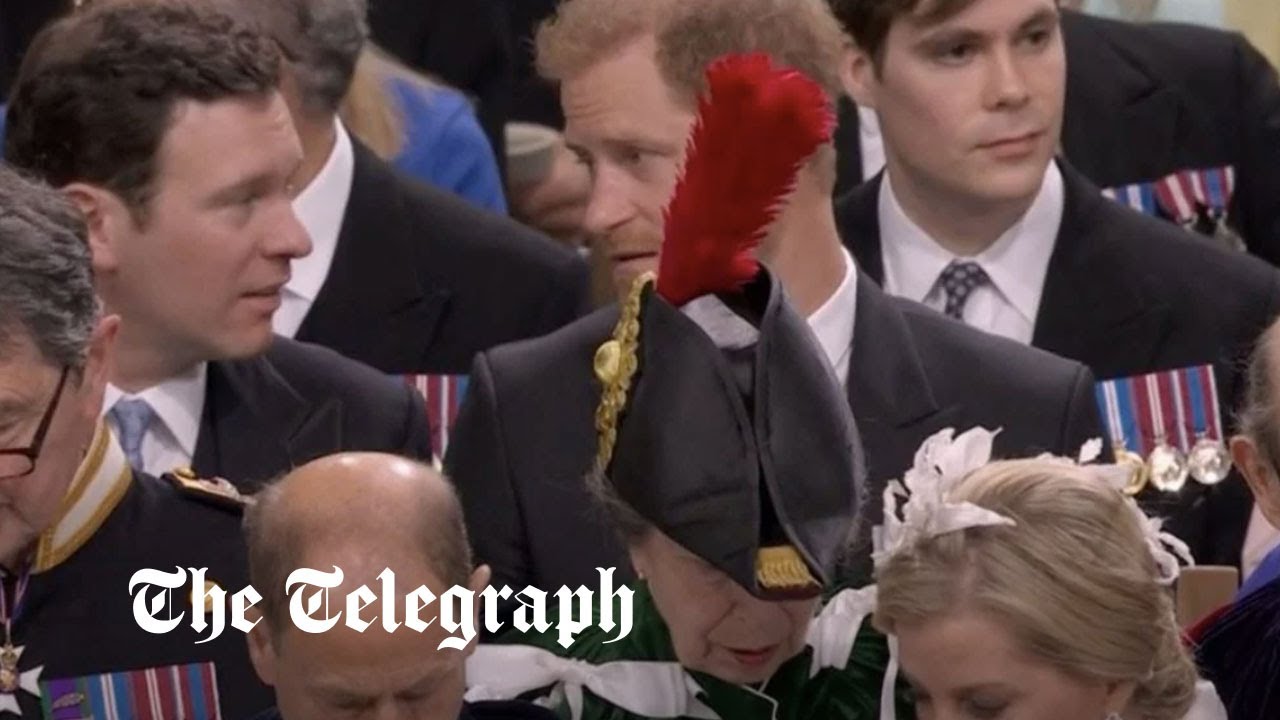 Prince Harry's view of the Coronation service 'obscured' by Princess ...