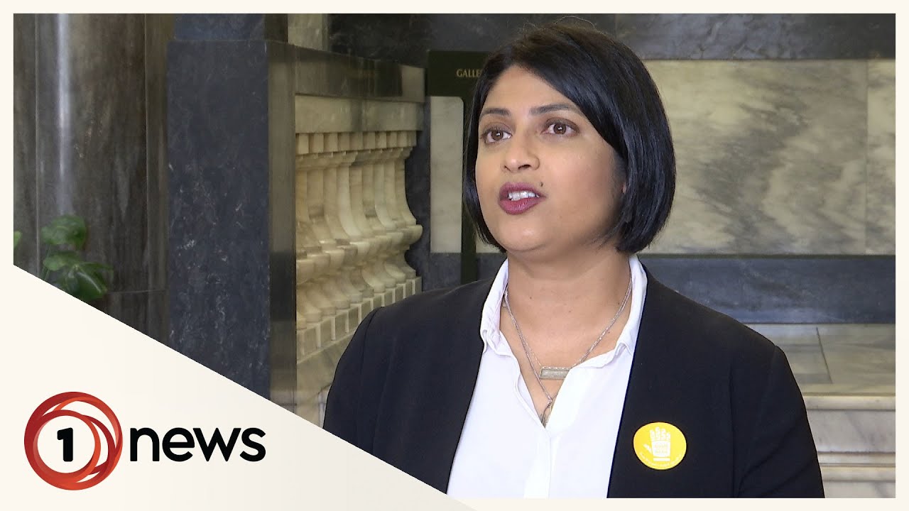 Disability Minister admits work to do around delivering NZ Sign ...