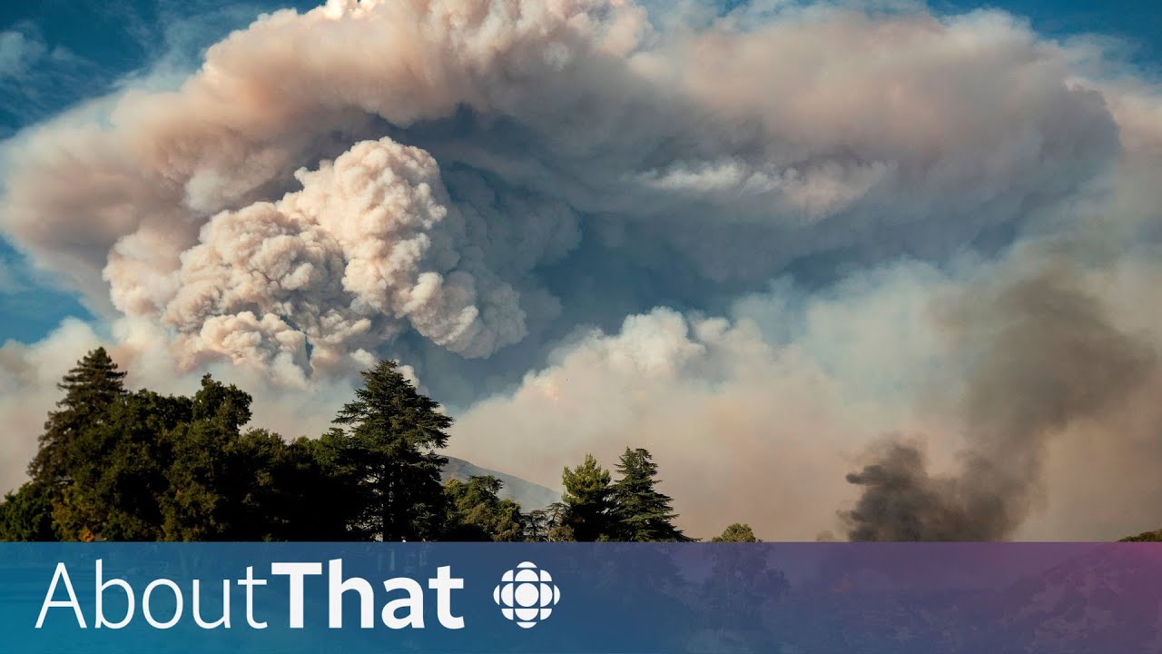 'Fire-breathing dragon of clouds': wildfire-fuelled weather | About ...