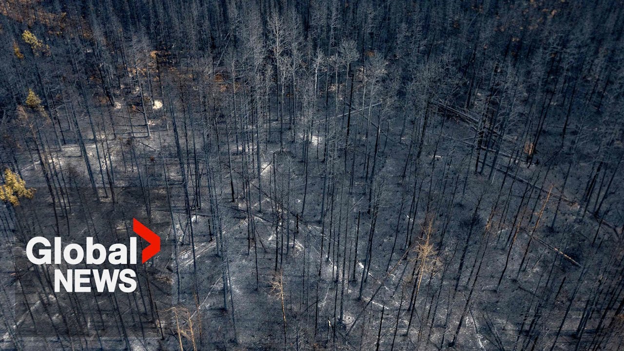 Alberta firefighters work to save Fox Creek as temperatures soar in ...