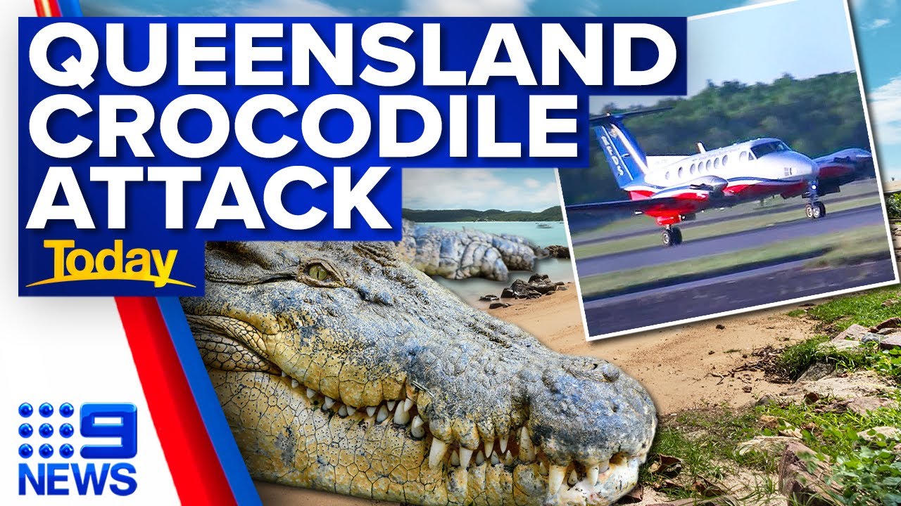 Man pries open crocodile’s jaws to release his head | 9 News Australia ...