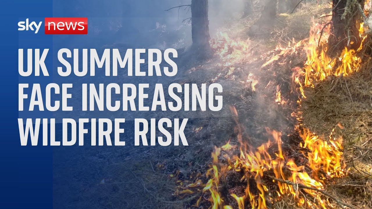 England and Wales at 'very high' risk of wildfires - The Global Herald