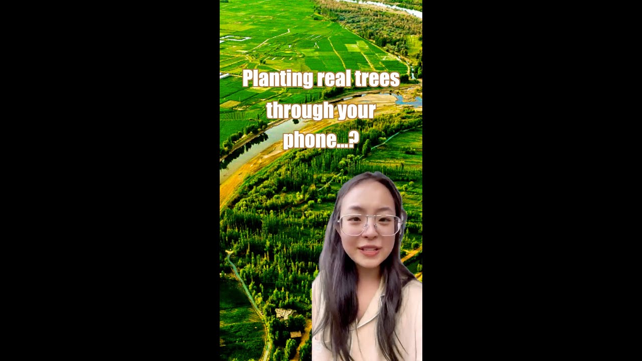 Planting real trees through your phone? - The Global Herald