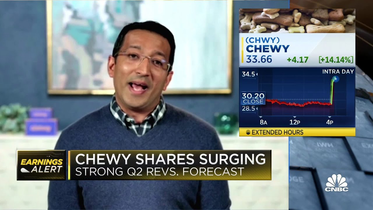 We're seeing tremendous consumer resilience in the pet sector, says Chewy CEO Sumit Singh - The ...