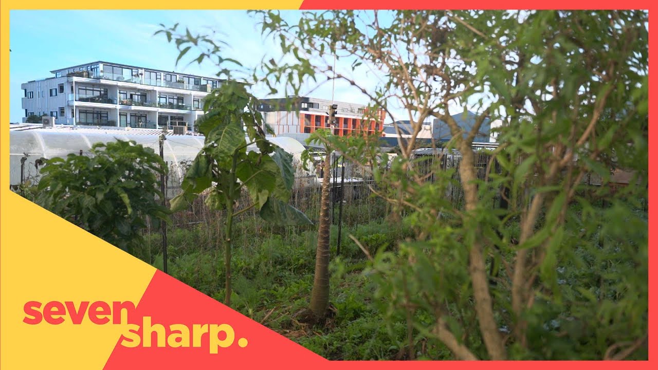 The big city farm - The Global Herald
