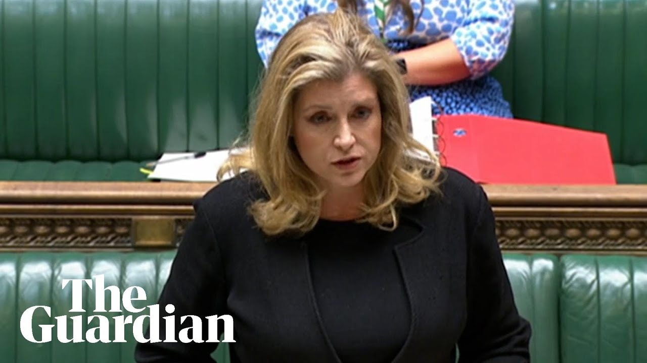 Penny Mordaunt says MPs must do 'what they think is right' when voting ...
