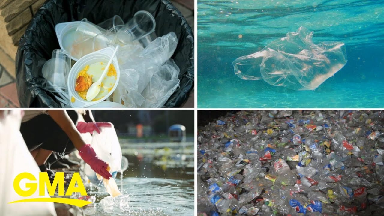 How to prevent plastics pollution - The Global Herald