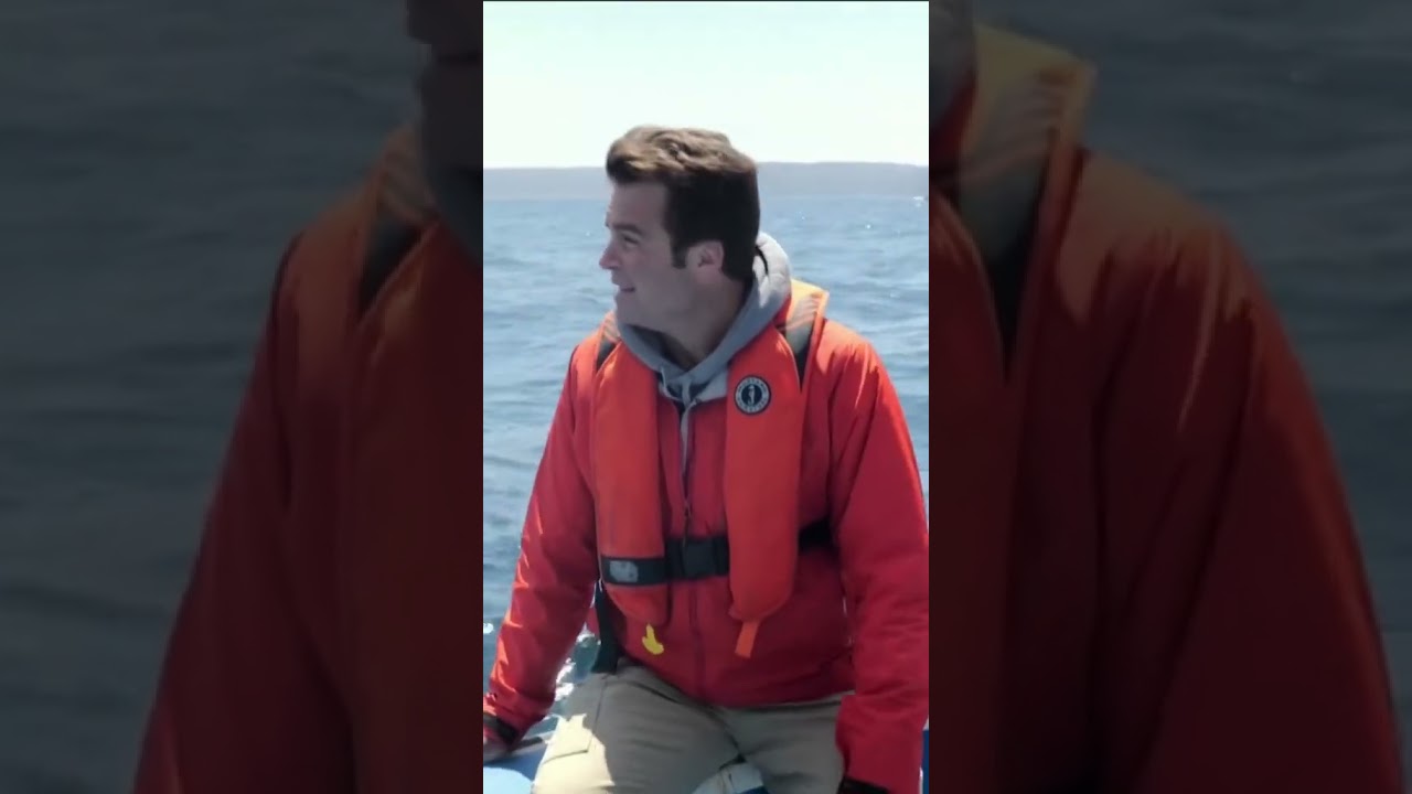 Locating the missing sub is like 'finding a needle in a moving haystack ...