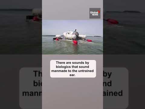 Missing Titanic sub: What could the "banging noises" be from? - The ...