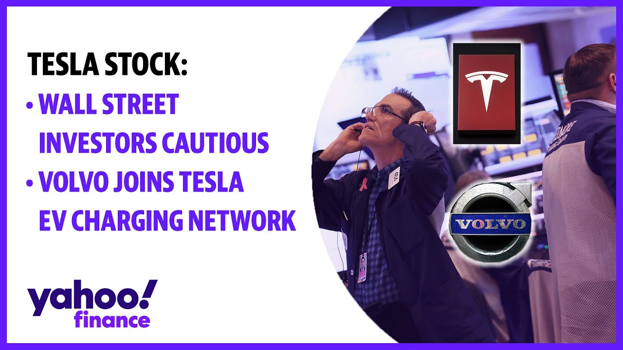 Tesla stock 'egregiously overvalued,' says analyst - The Global Herald