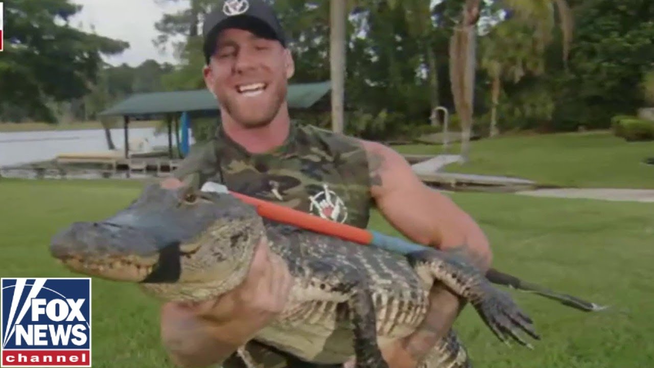 Veteran bravely protects elementary school from 10-foot alligator - The ...