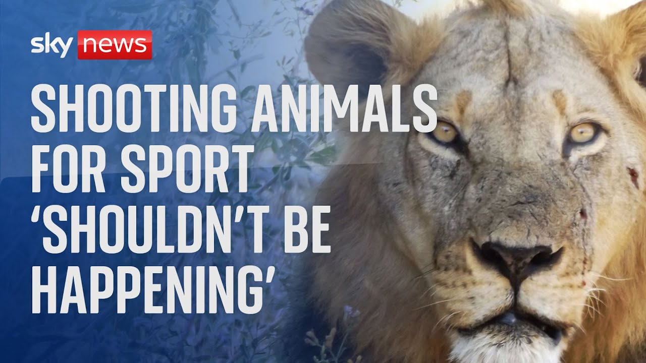 Shooting animals for sport 'shouldn't be happening' - The Global Herald