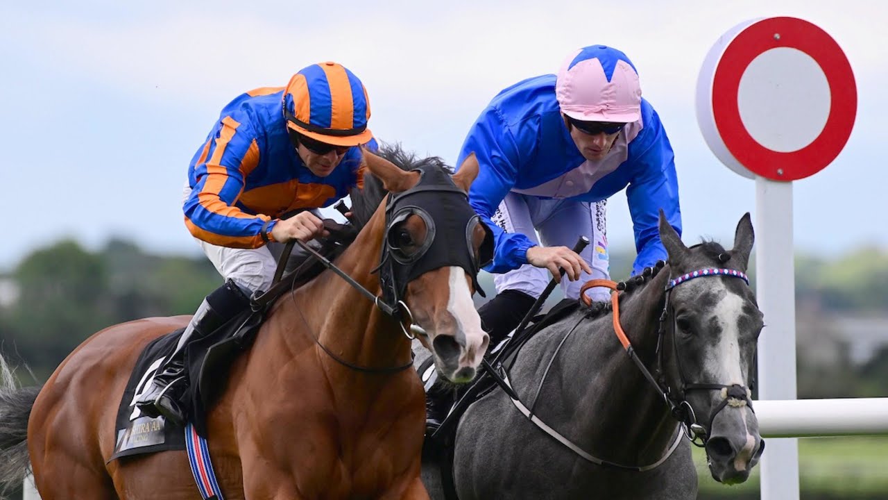 Library pens new chapter at Naas - The Global Herald